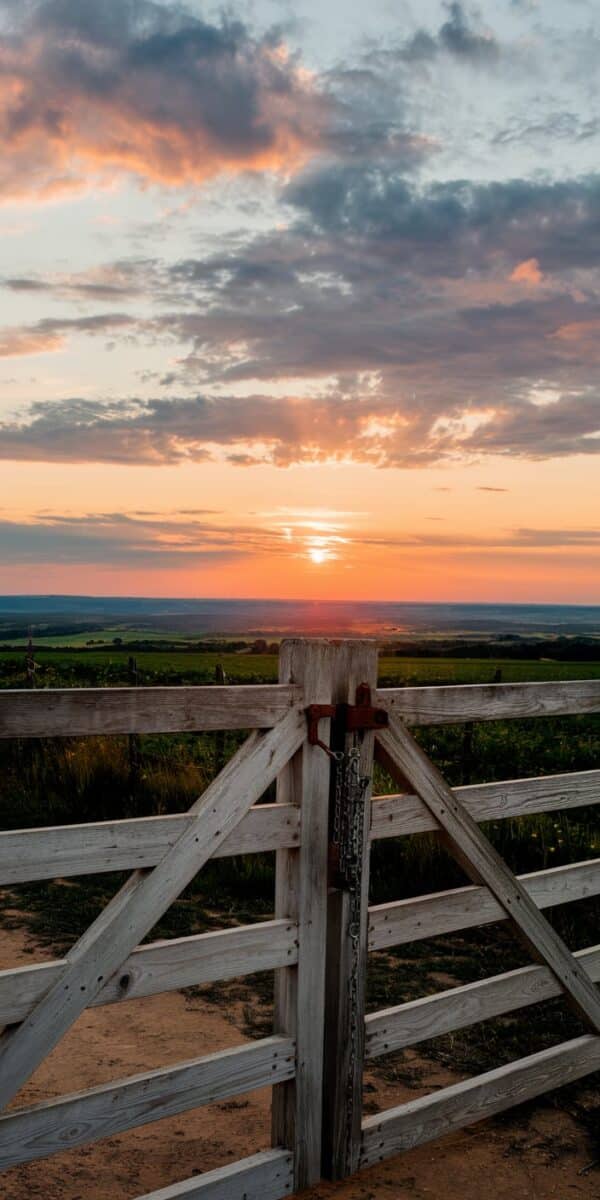 38 Cozy Country Wallpapers for That Rustic Aesthetic - Tech Swoon