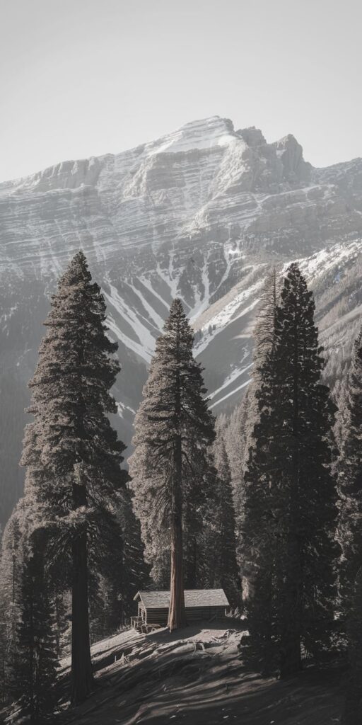 38 Cozy Country Wallpapers for That Rustic Aesthetic - Tech Swoon